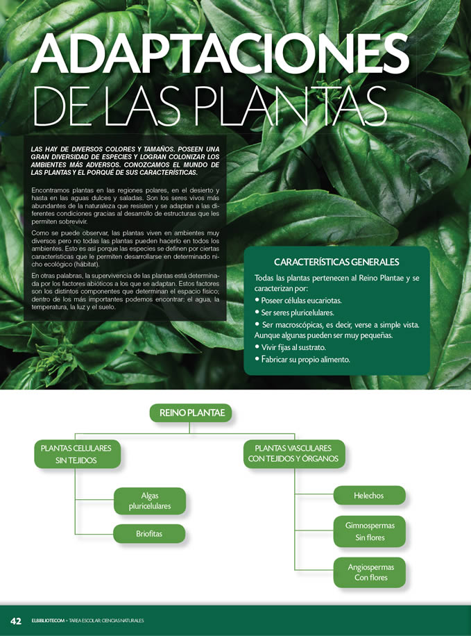 LIBRO-PEDIA Ciencias Naturales - Elbibliote.com