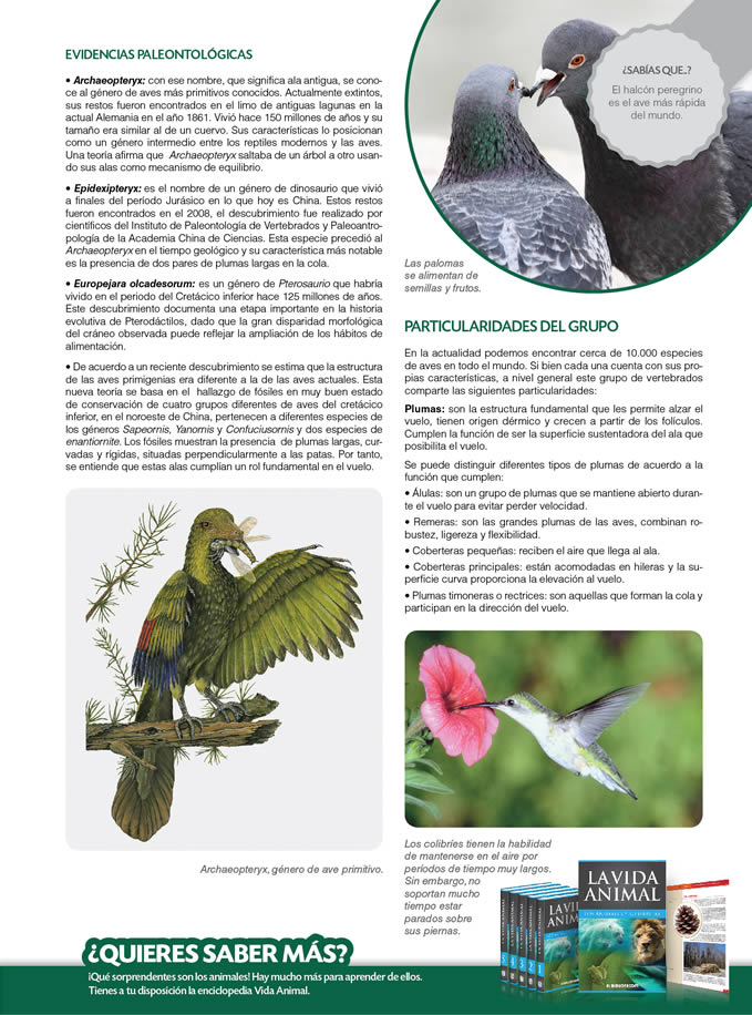 LIBRO-PEDIA Ciencias Naturales - Elbibliote.com