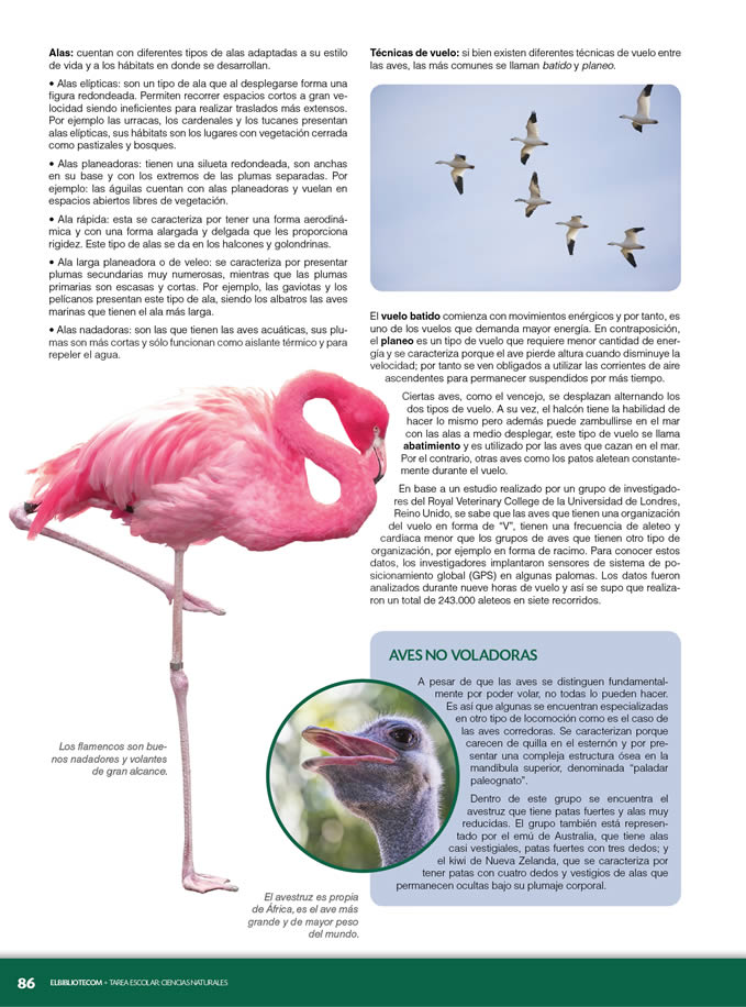LIBRO-PEDIA Ciencias Naturales - Elbibliote.com